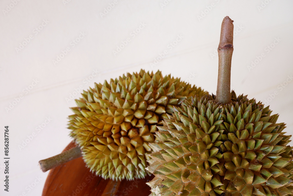 Durian fruit with wall background. Close-up fresh durian texture ...