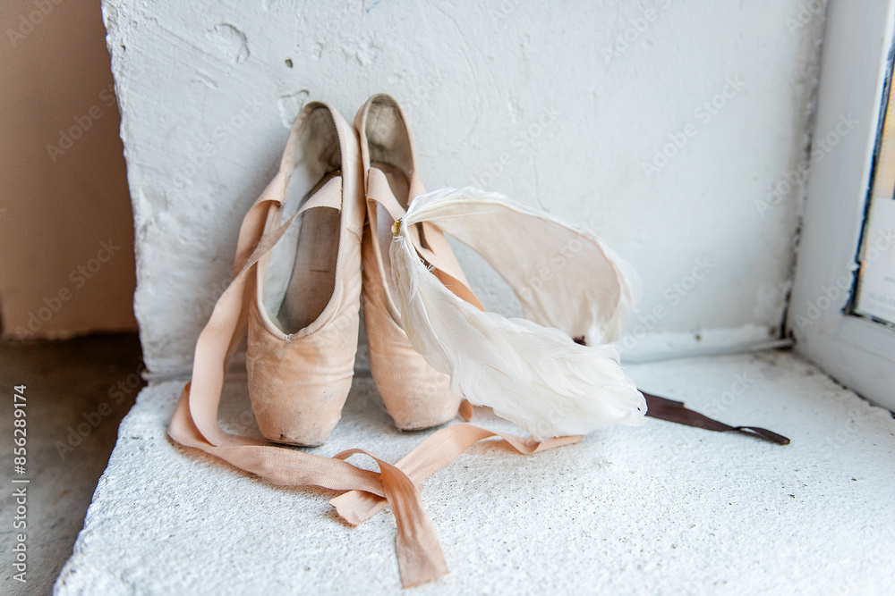 Well-used pointe shoes with ribbons, white feather tiara lie beside ...