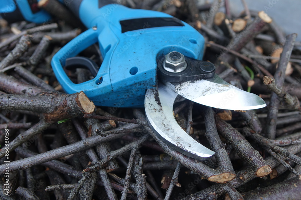 Pruning trees with electric pruning shears branch cutter automatic with ...