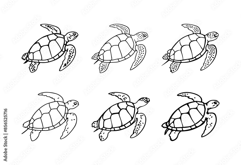Vector isolated cute cartoon swimming sea turtle colorless black and ...