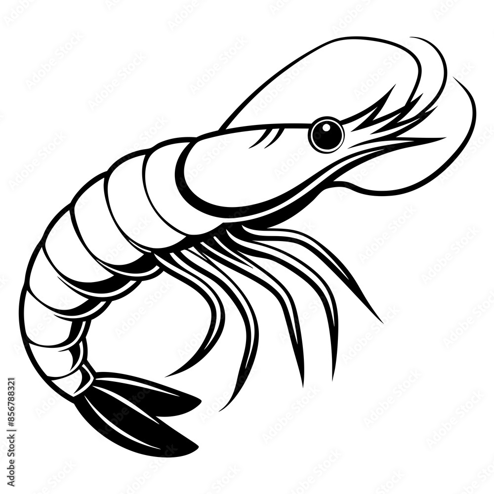 Shrimp line art sea animal. Vector sketch illustration. Stock Vector ...