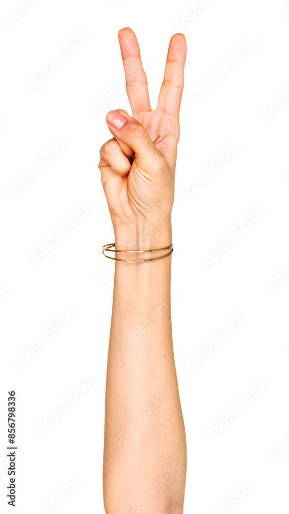 V sign png hand gesture sticker, victory peace sign language on ...