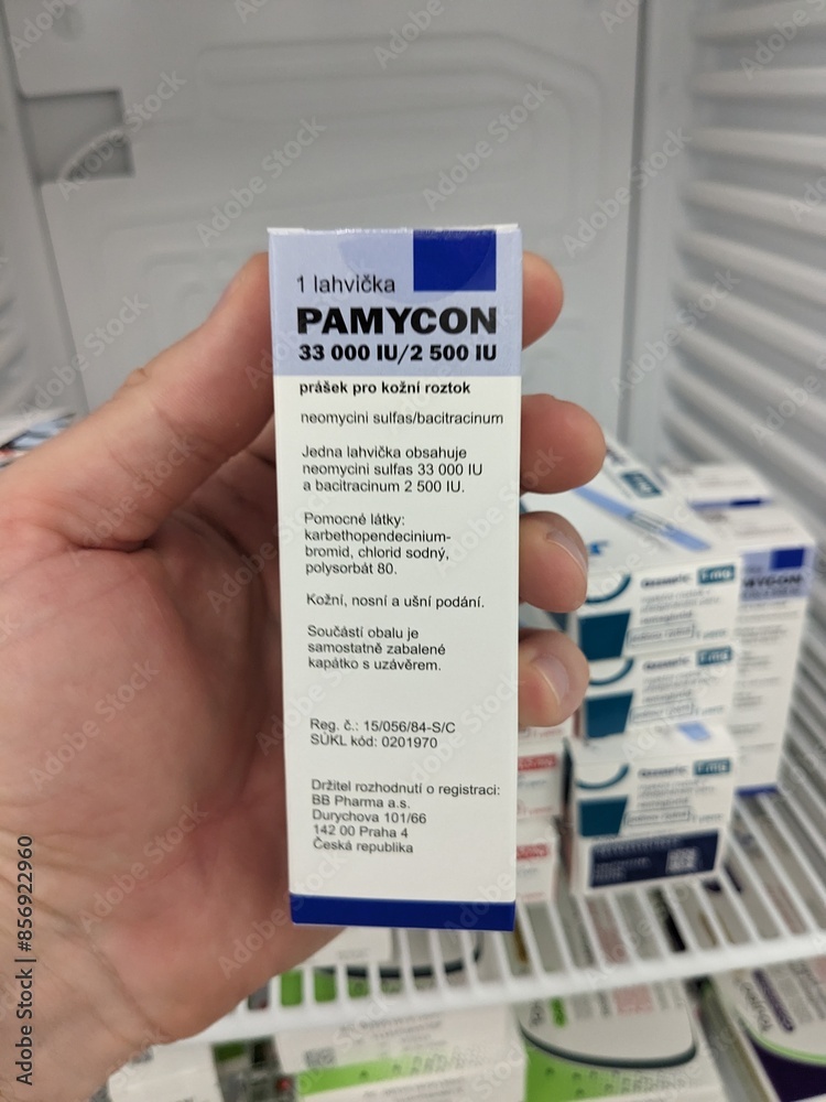 Prague, Czech Republic - JULY 10 2024: Pamycon box of medication with ...