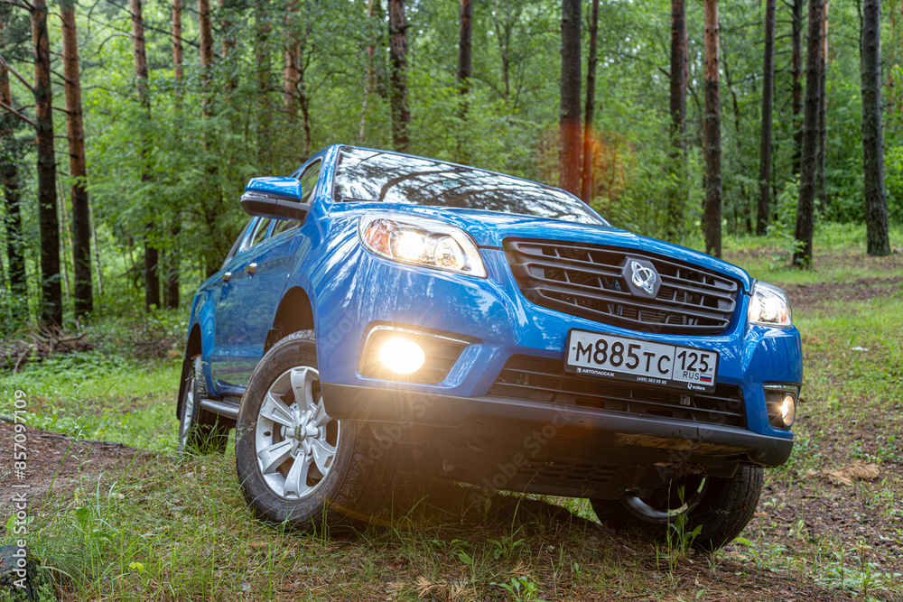 Moscow, Russia - June 2024: Blue pickup truck in the forest. sollers ...