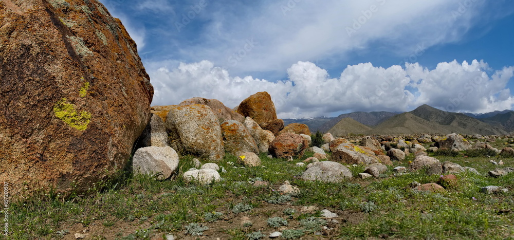 Kyrgyzstan, Cholpon-Ata. Huge stones scattered over a large area in the ...