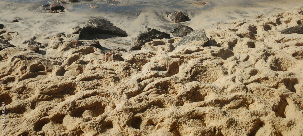 beach wall texture clean water green house house foam rock nature ...
