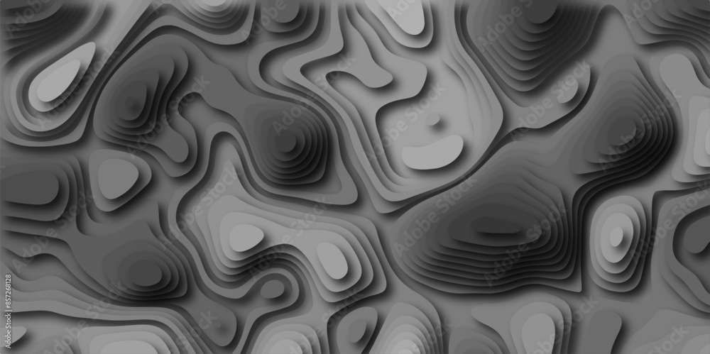 Topo contour map on graybackground, Topographic contour lines vector ...