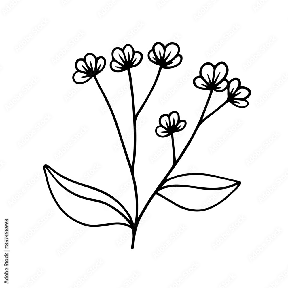 Sketch, doodle of a simple plant, flower. Vector graphics Stock Vector ...