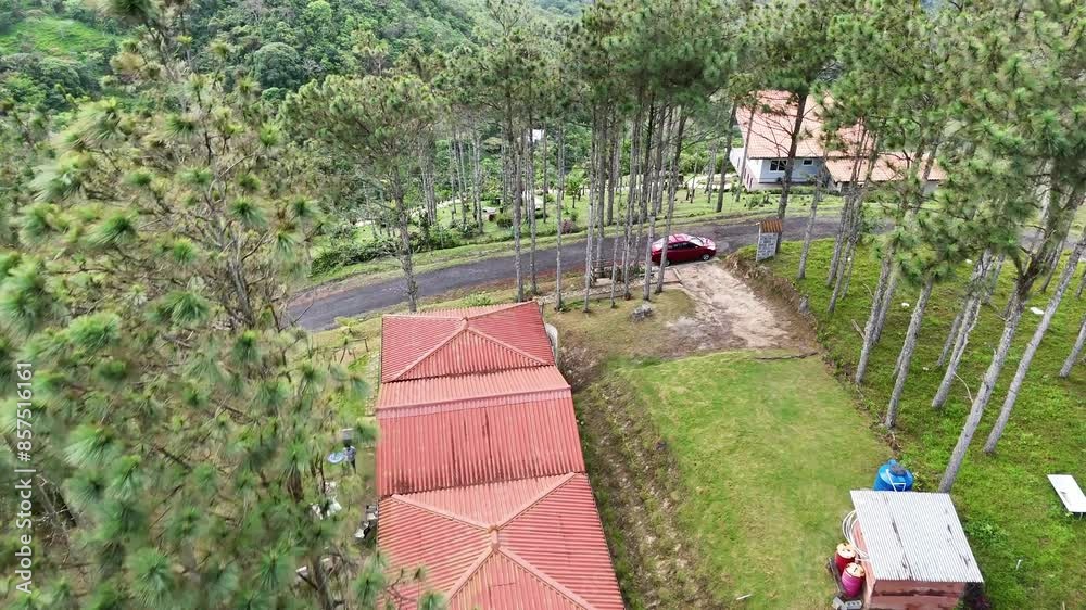 Vista aérea de conjunto de cabañas entre bosques de pino en altos del ...