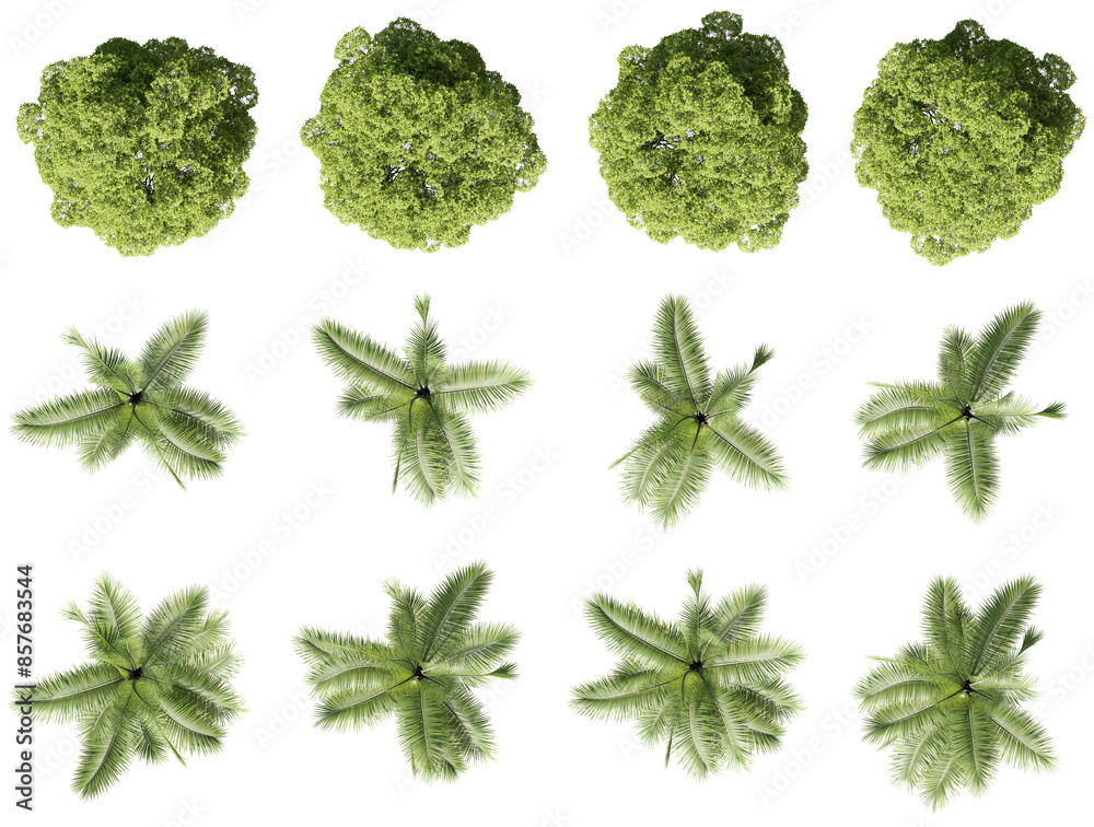 Set of trees rendered from the top view, 3D illustration, for digital ...