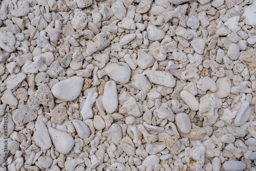 Coral fossils / reef deposits / Limestone at Ko Olina Beach Park ...