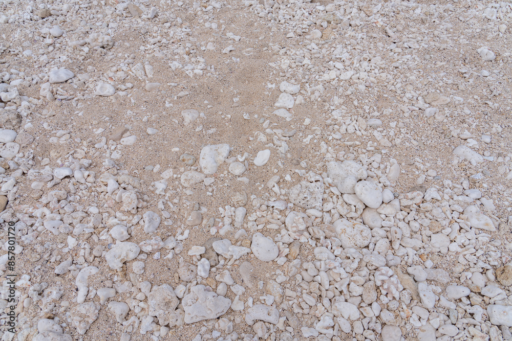 Coral fossils / reef deposits / Limestone at Ko Olina Beach Park ...