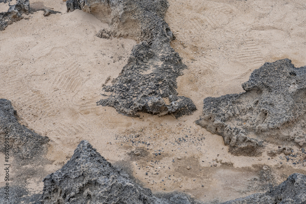 Older dune deposits , Lāʻie Point State Wayside, Oahu, Honolulu, Hawaii ...