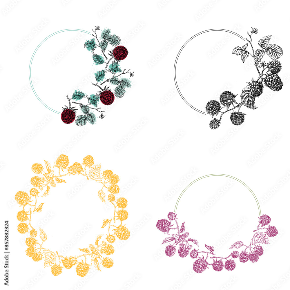 Raspberries circle frame. Hand drawn round line border, leaves and ...