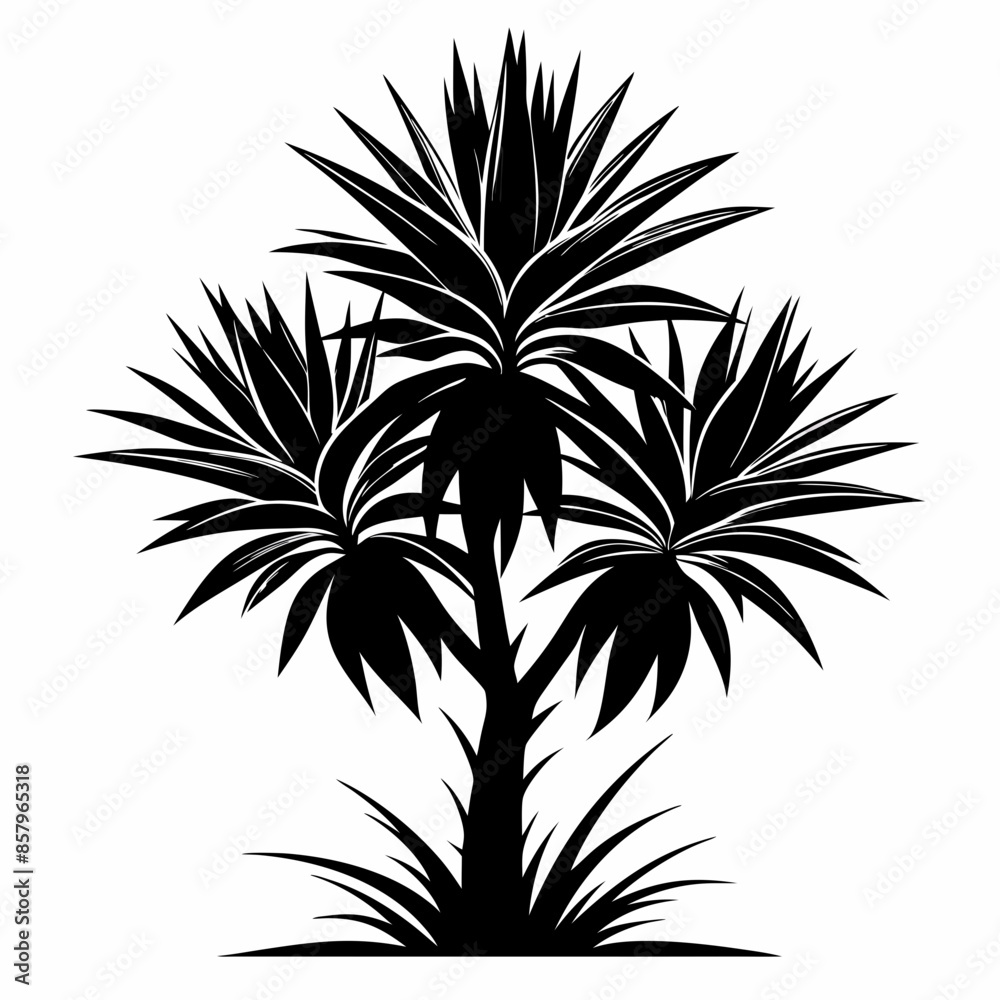 Yucca rostrata desert tree vector illustration on white background ...