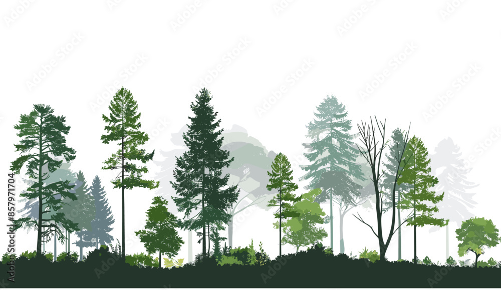 Evergreen forest side view silhouette trees. Vector illustration of ...