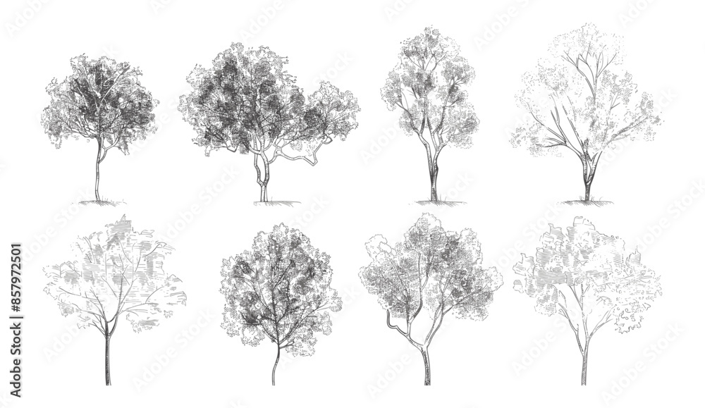 Side view sketch tree line drawing, set of graphics trees elements ...