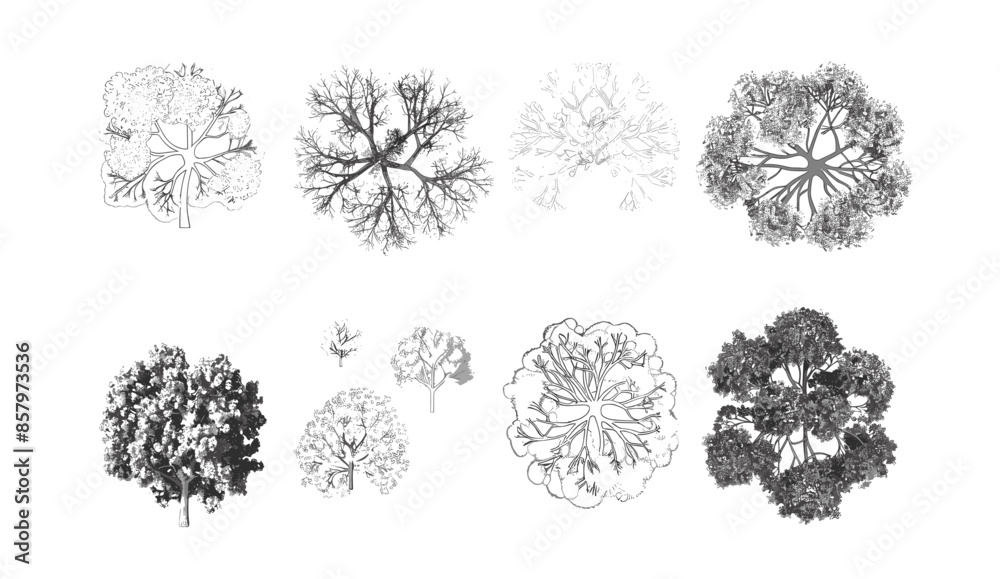 Top view set of trees for landscape and architecture plan, CAD line ...