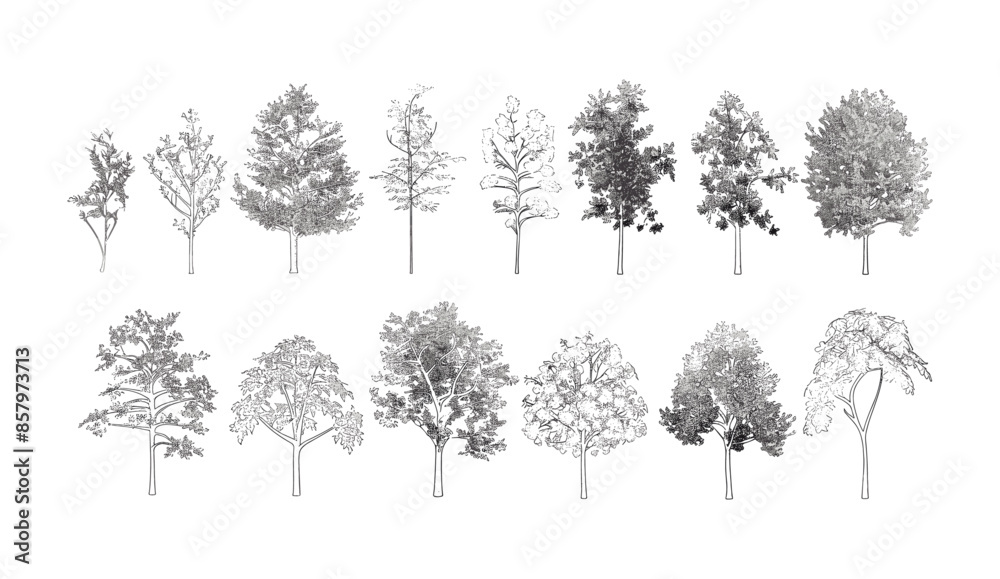 Tree line drawing, minimal style CAD, side view set of graphics ...