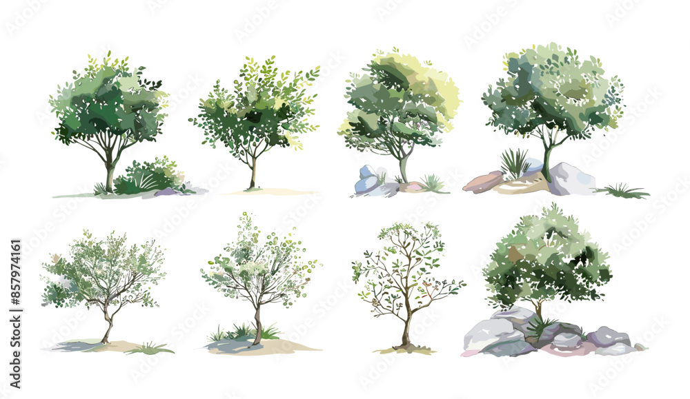 Minimal style tree painting hand drawn, Side view, tropical shrub ...