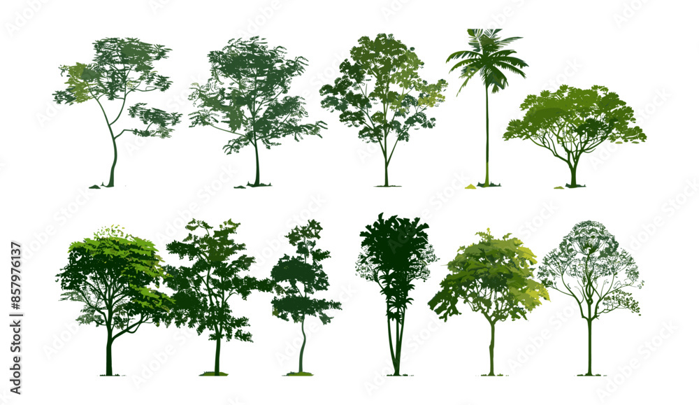 Vector illustration of green color tree, side view in stroke fill, set ...