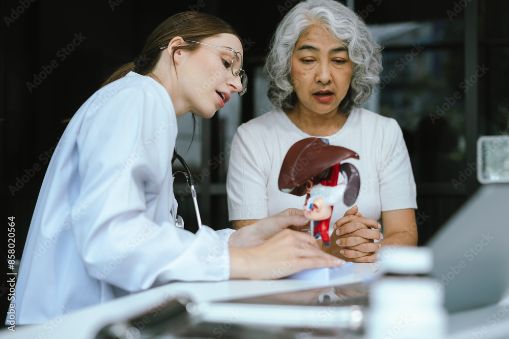 doctor shows a model of how the liver system works, doctors explaining ...