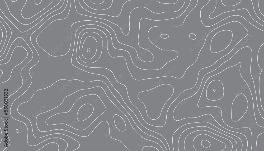 abstract pattern with lines. background of the topographic map ...