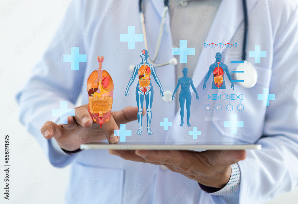 Doctor using digital tablet to examine a virtual model of human body ...