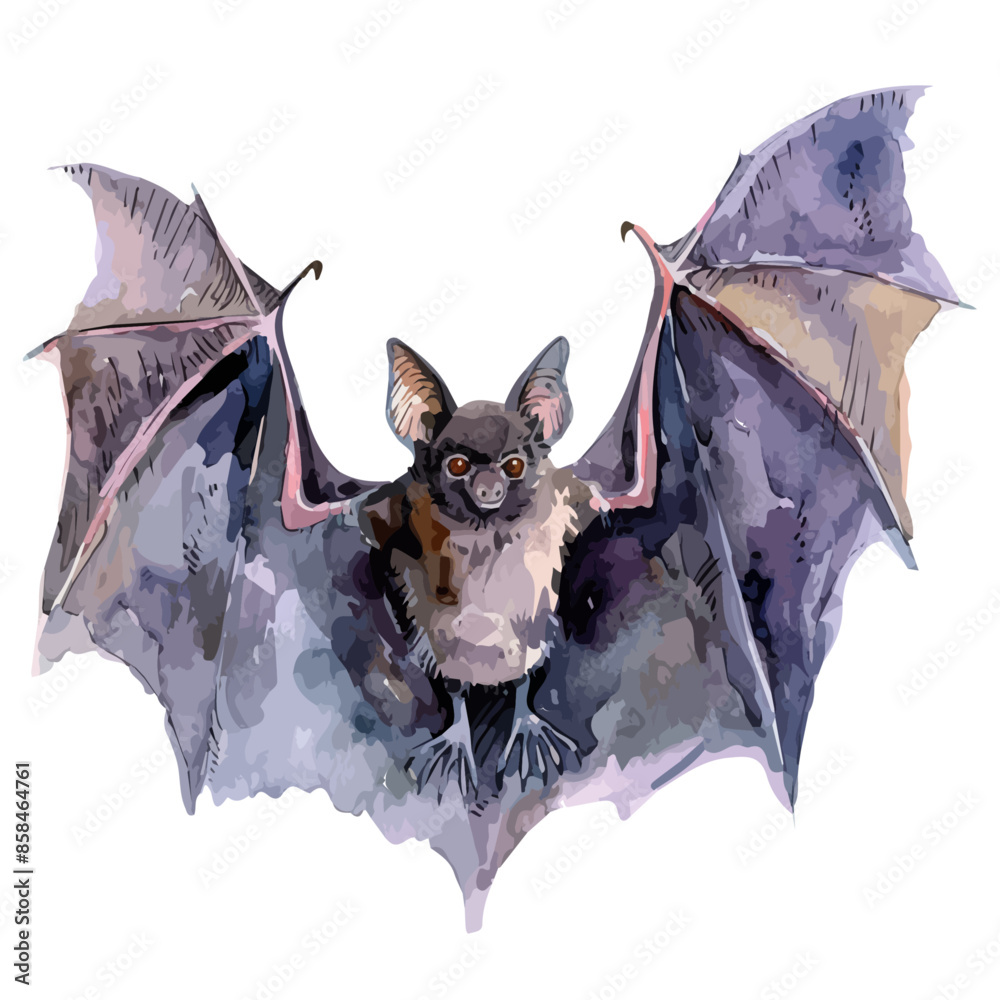 Watercolor clipart vector of a bat, isolated on a white background, bat ...