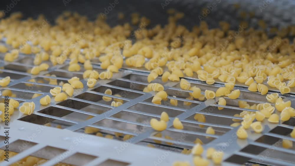 Modern pasta factory. Close-up of dry pasta pouring out of a machine ...