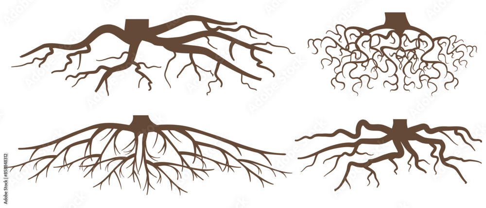 Various brown tree or shrub roots. Parts of plant, root system with ...