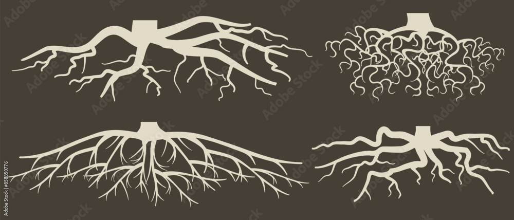 Various brown tree or shrub roots. Parts of plant, root system with ...