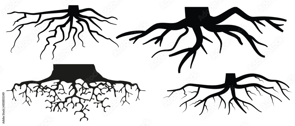 Various realistic tree or shrub roots. Parts of plant, root system with ...