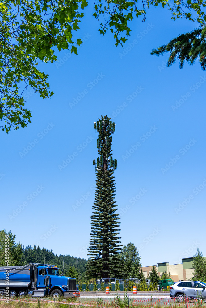 Mobility cell site camouflaged as a fir tree with artificial branches ...