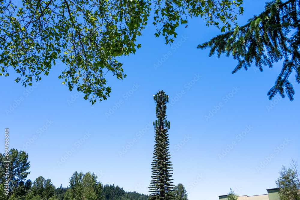 Mobility cell site camouflaged as a fir tree with artificial branches ...