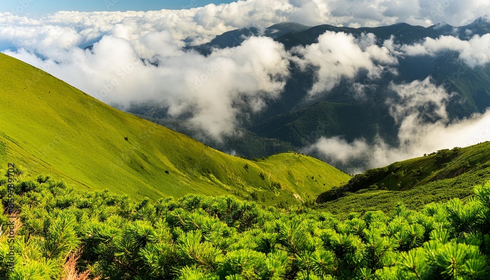 haze fog clouds climate on transparent backgrounds 3d illustrations png ...