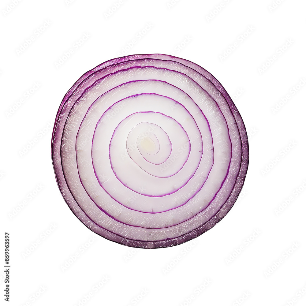 High-resolution cross-section view of a fresh purple onion with layers ...