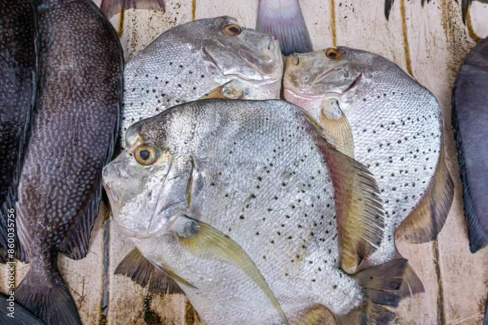 Fresh varieties of sea food meat like fishes, crabs, shrimp, prawns ...