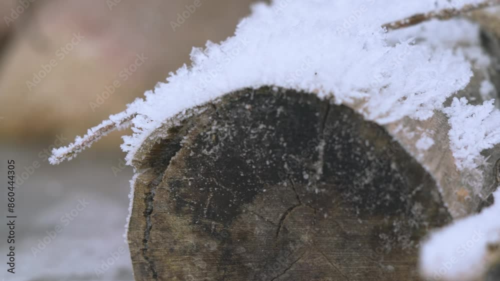 Tiny snow and ice crystals formed at wooden branches fallen to river in ...