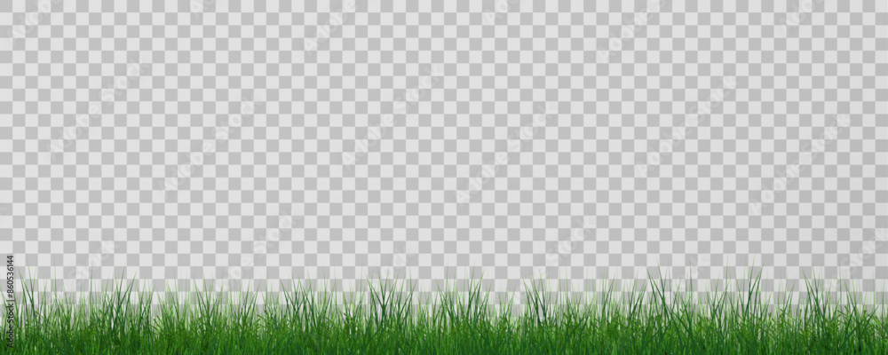 Grass border, vector illustration. Vector grass, lawn. Grass png, lawn ...