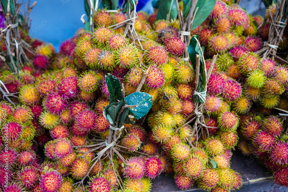 Rambutan (Nephelium lappaceum) is a medium-sized tropical tree in the ...