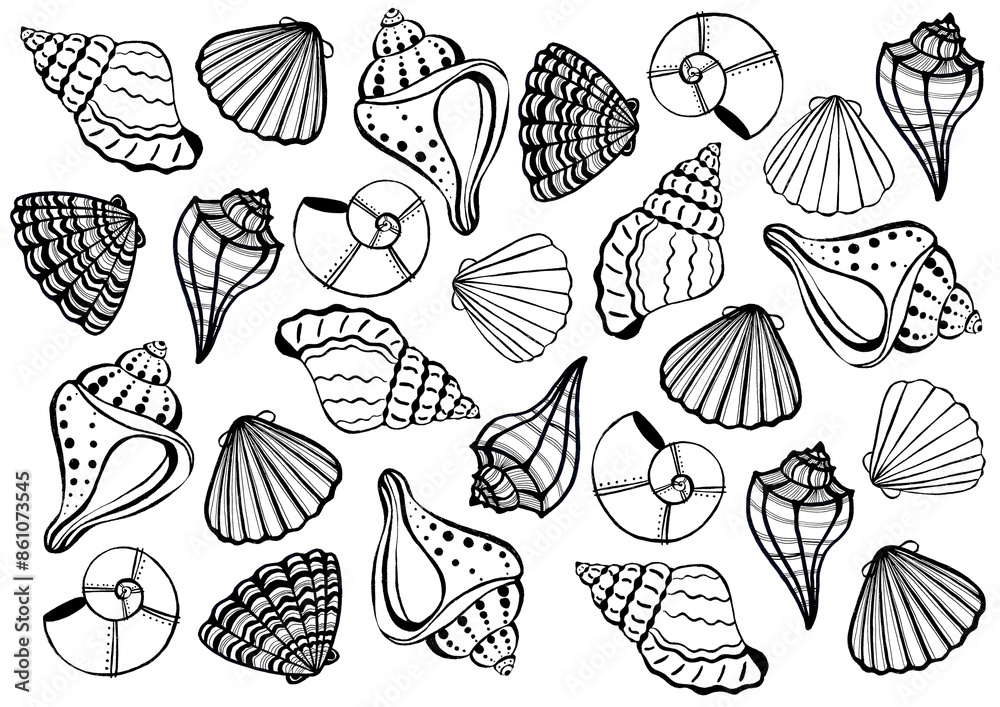 Set with seashells in black outline on white background. Different ...