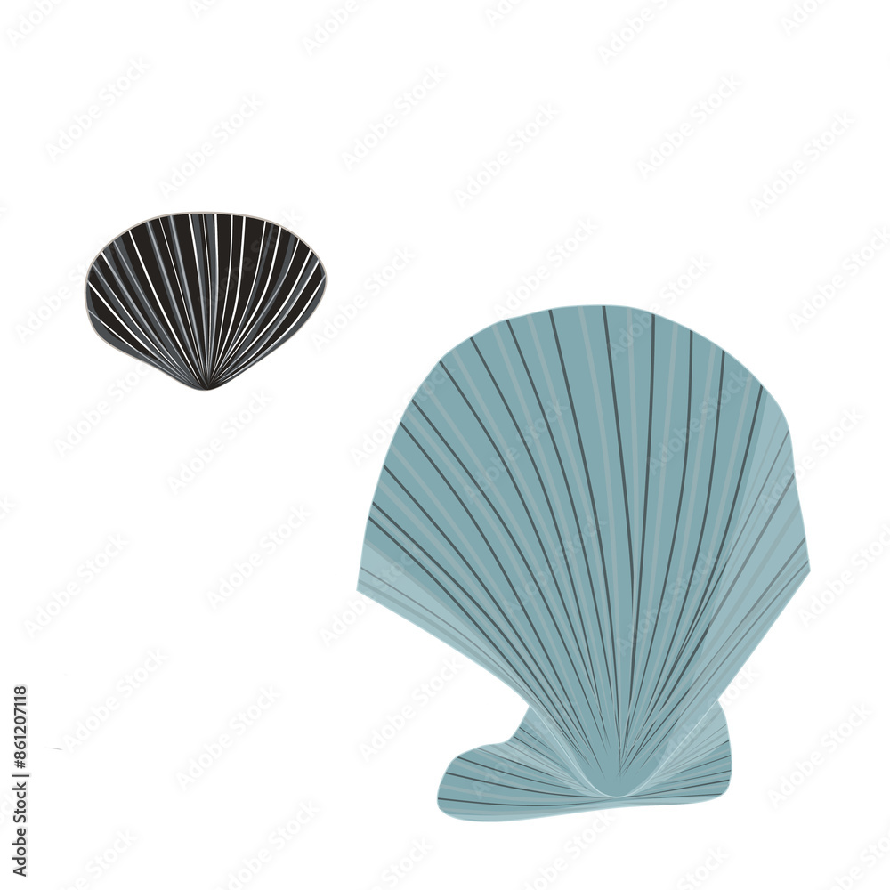Doodle seashell cute sea shell beach summer illustration hand drawn ...