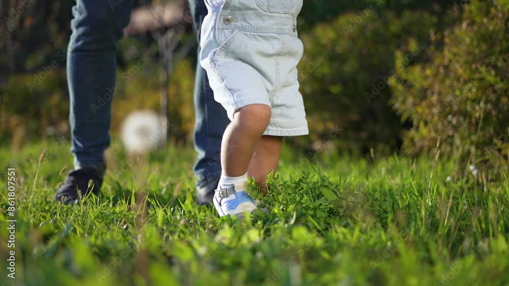 Father helps child take steps on grass. Child learning to walk outdoors ...