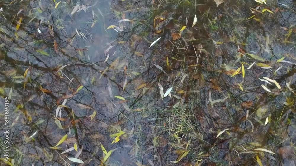 The autumn flood raised the water level in the river and broke through ...