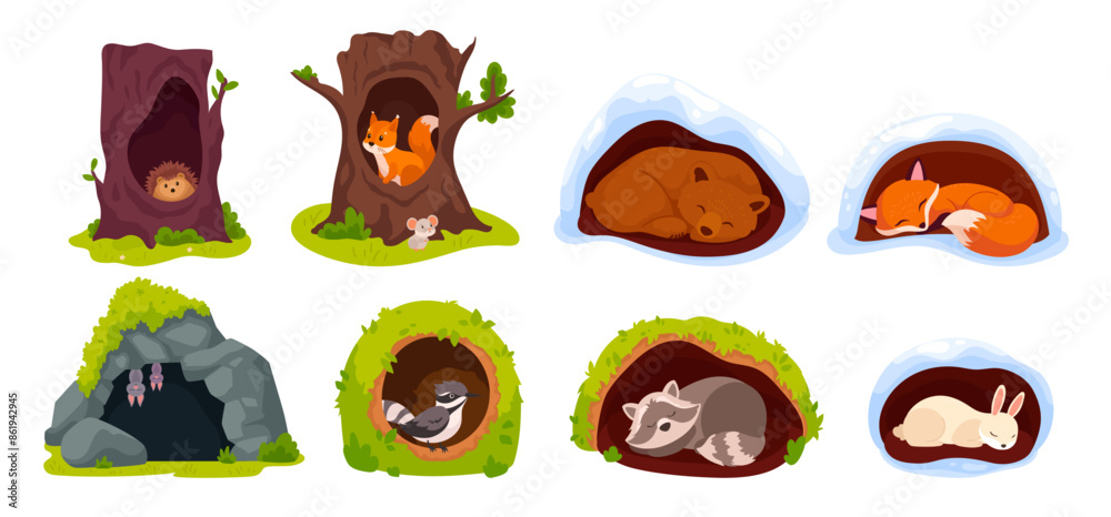 Animals inside burrow. Wild animal in burrows cave or tree hollow ...