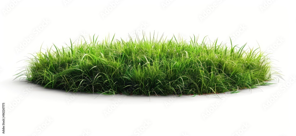 Patch of fresh green lawn grass, cut out on transparent background ...
