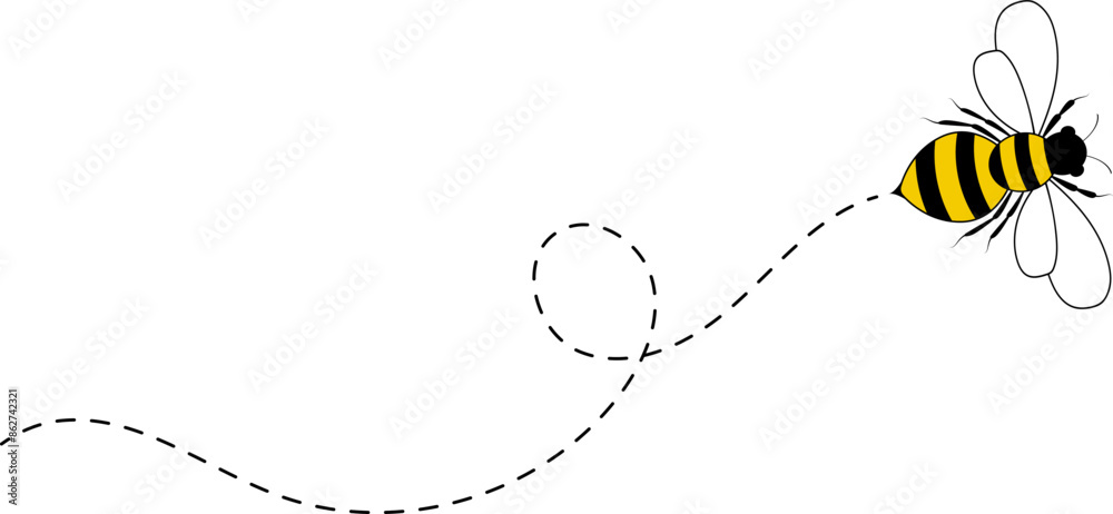 Bee flying path. A bee flying in a dotted line. The flight path of bee ...