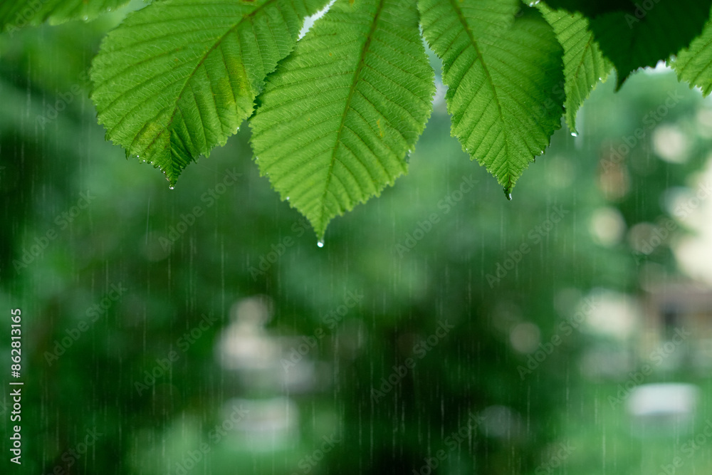 The impact of rain on mental state: exploring how rainy weather can ...