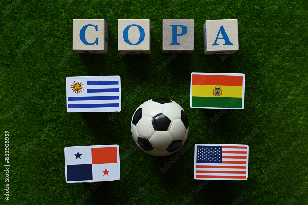 Flags of the participating teams of the America's Cup Soccer Group C ...